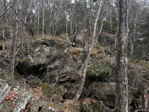 Best Hikes and Trails in Bears Den Natural Area | AllTrails