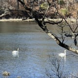 Mashpee River Woodlands North Trail, Massachusetts - 618 Reviews, Map ...