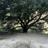 Beeks Place and Doppler Ball via Black Star Canyon, California - 919 ...