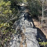 Babel Tower Trail (240), North Carolina - 1,012 Reviews, Map | AllTrails