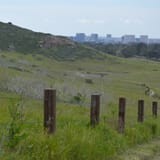 Quail Loop Trail, California - 1,692 Reviews, Map | AllTrails