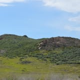 Quail Loop Trail, California - 1,692 Reviews, Map | AllTrails