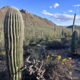Valley View Overlook Trail, Arizona - 1,442 Reviews, Map | AllTrails