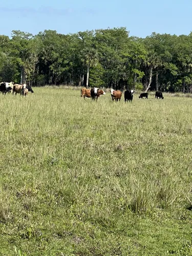 Best Hikes and Trails in Beck Ranch Park | AllTrails