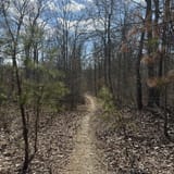 Buck Ridge Trail, Pennsylvania - 144 Reviews, Map | AllTrails