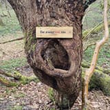 Anglezarke Reservoir, Lancashire, England - 595 Reviews, Map | AllTrails