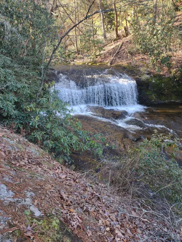 Best Short Trails in Cohutta Wildlife Management Area | AllTrails