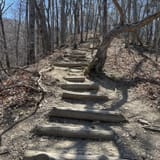 Tinker Cliffs via Andy Layne Trail, Virginia - 1,668 Reviews, Map ...