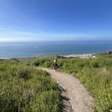 Corral Canyon Loop, California - 1,710 Reviews, Map | AllTrails