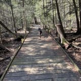 Machickanee Forest Northwest Loop, Wisconsin - 152 Reviews, Map | AllTrails