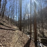 Daniel Ridge Loop, North Carolina - 1,905 Reviews, Map | AllTrails