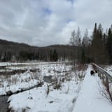 Jordan Valley Pathway, Michigan - 739 Reviews, Map | AllTrails