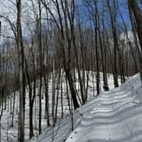Jordan Valley Pathway, Michigan - 739 Reviews, Map | AllTrails