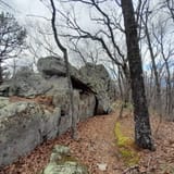 Carvin's Cove Hay Rock via Appalachian Trail, Virginia - 1,038 Reviews ...