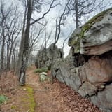 Carvin's Cove Hay Rock via Appalachian Trail, Virginia - 1,072 Reviews ...