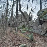 Carvin's Cove Hay Rock via Appalachian Trail, Virginia - 1,072 Reviews ...