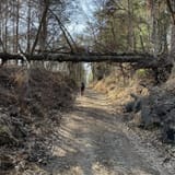 River to River Trail, Illinois - 218 Reviews, Map | AllTrails