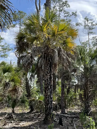 Best Hikes and Trails in Serenity Walk Park | AllTrails