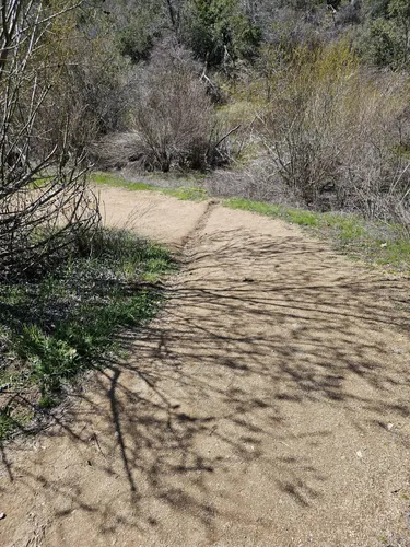 Best Hikes and Trails in The Wildlands Conservancy Oak Glen Preserve ...