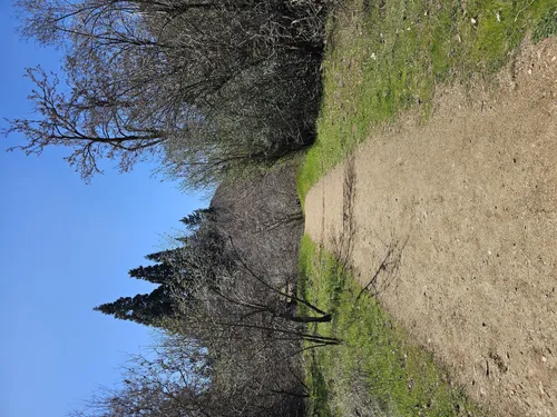 Best Hikes and Trails in The Wildlands Conservancy Oak Glen Preserve ...