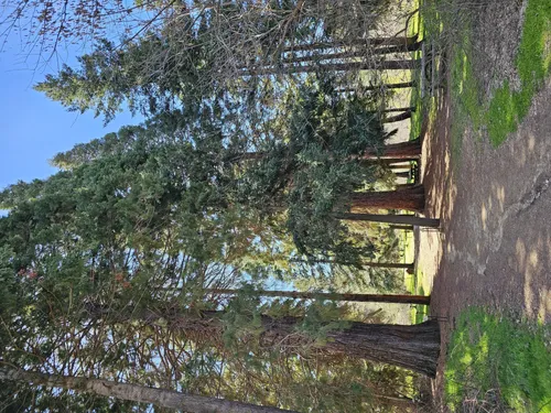 Best Hikes and Trails in The Wildlands Conservancy Oak Glen Preserve ...