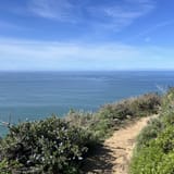 Old Colma Road Loop, California - 1,849 Reviews, Map | AllTrails