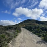 Old Colma Road Loop, California - 1,888 Reviews, Map | AllTrails