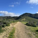 Old Colma Road Loop, California - 1,888 Reviews, Map | AllTrails