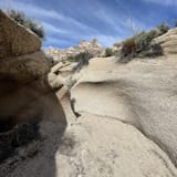 Grapevine Canyon Trail, Nevada - 511 Reviews, Map | AllTrails