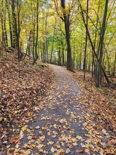 Best Short Trails in Mount Philo State Park | AllTrails