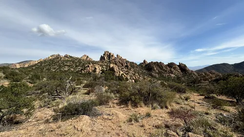 Best Trail Running Trails in Dragoon | AllTrails