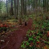 LBA Park Loop Trail, Washington - 1,279 Reviews, Map | AllTrails