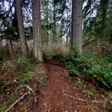 LBA Park Loop Trail, Washington - 1,279 Reviews, Map | AllTrails