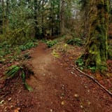 LBA Park Loop Trail, Washington - 1,279 Reviews, Map | AllTrails