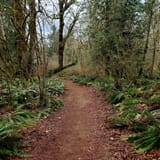 LBA Park Loop Trail, Washington - 1,279 Reviews, Map | AllTrails