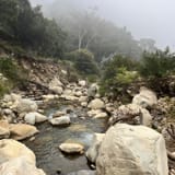 Cold Spring Loop, California - 2,145 Reviews, Map | AllTrails