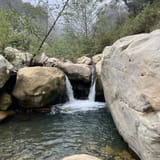 Cold Spring Loop, California - 2,145 Reviews, Map | AllTrails