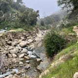 Cold Spring Loop, California - 2,145 Reviews, Map | AllTrails