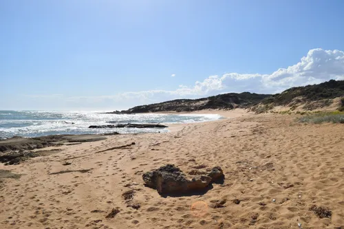 Best Hikes and Trails in Thunder Point Coastal Reserve | AllTrails