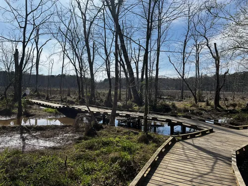 Best River Trails in Conestee Nature Preserve | AllTrails