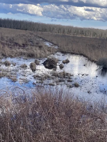 Best Hikes and Trails in Burrage Pond Wildlife Management Area | AllTrails