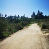 Rice Canyon Trail, California - 985 Reviews, Map | AllTrails