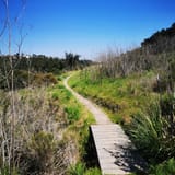 Rice Canyon Trail, California - 985 Reviews, Map | AllTrails