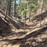 Chamisa Trail, New Mexico - 1,338 Reviews, Map | AllTrails