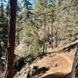 Chamisa Trail, New Mexico - 1,338 Reviews, Map | AllTrails