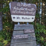 Mount Walker, Washington - 2,110 Reviews, Map | AllTrails