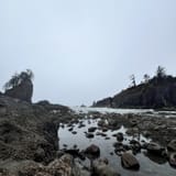 Second Beach, Washington - 1,660 Reviews, Map | AllTrails