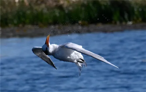 Best Hikes and Trails in Emeralda Marsh Conservation Area | AllTrails