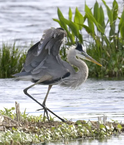 Best Hikes and Trails in Emeralda Marsh Conservation Area | AllTrails