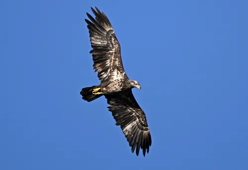 Best Hikes and Trails in Emeralda Marsh Conservation Area | AllTrails